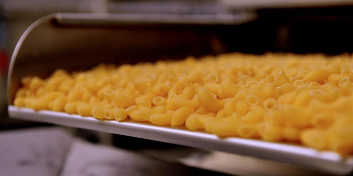 Pasta production phases